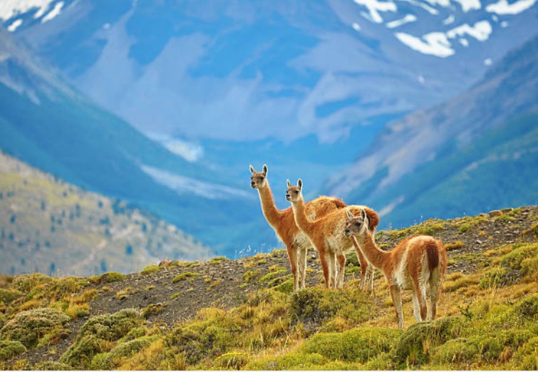 Glaciar Perito Moreno – Torres del Paine Magico